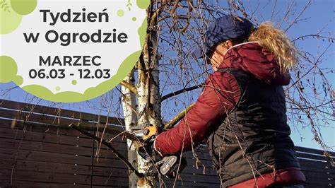 Marzec W Ogrodzie Kalendarz Ogrodnika Na Prace