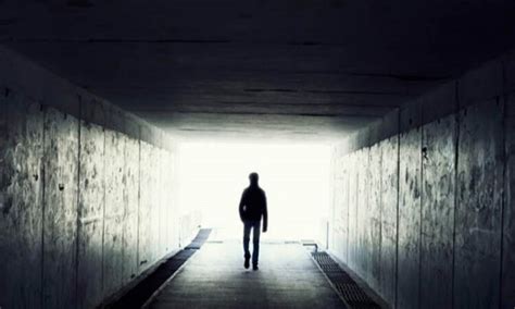 DESPUES DE SIETE AÑOS EL PERÚ VE LUZ AL FINAL DEL TÚNEL La Abeja