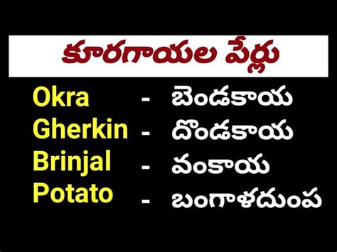 Kitchen Items List In Telugu Dandk Organizer