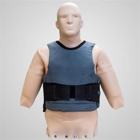 Customized Dummys Biofidelic Dummy ATD Dummy CTS Crashtest