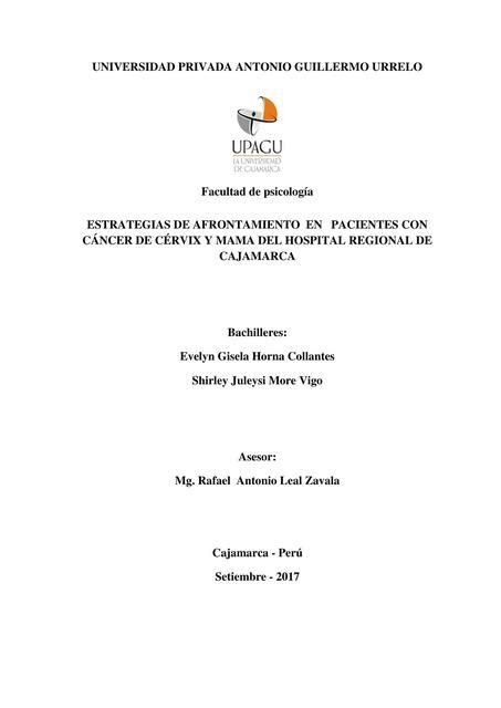 Informe Final De Tesis UDocz