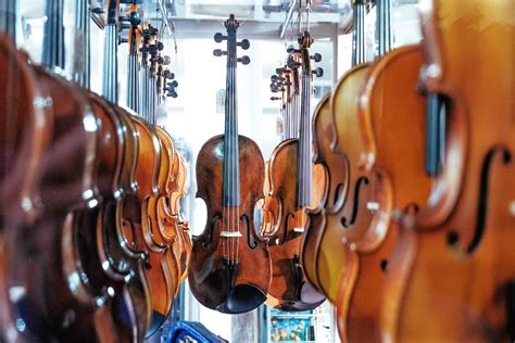Instrumentos de Cuerda MÁS de 10 ejemplos de Instrumentos