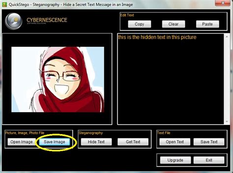 aisyah s blog how to hide text on the picture using steganography tools