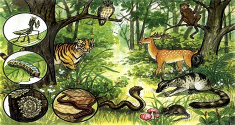 Đáp án Đa dạng sinh học