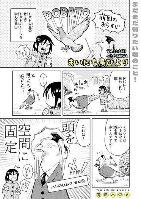 「まいにち鳥びより、更新されました〜 前回に続いてハト回です。みんな大好きピジョンミルクも出てくるよ よろしくお願いしま」鳶田ハジメ🦆526コミティアh10aの漫画