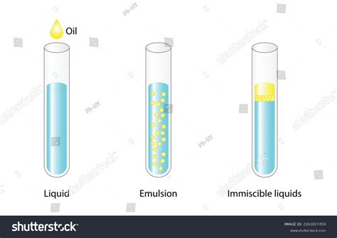 Emulsion Mixture Two Immiscible Liquids Oil Stock Vector Royalty Free