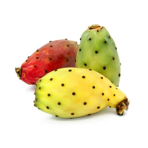 Variedades De Tunas Mexicanas