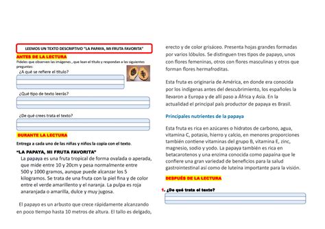 Ficha Comun Leemos Un Texto Descriptivo La Papaya Mi Fruta Favorita