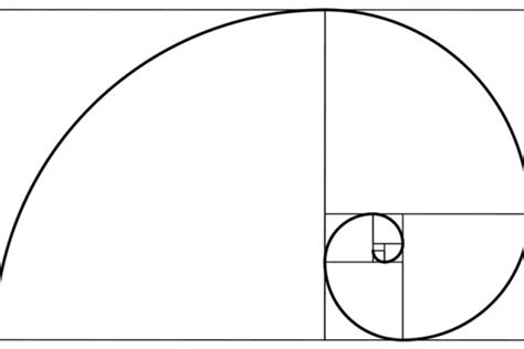 Sequ Ncia De Fibonacci Entenda O Que E Como Funciona Exemplos