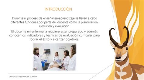 Tema 0 introducción a la materia pptx