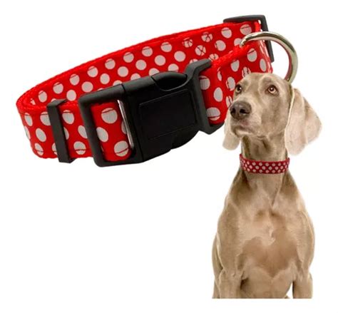 Collar Para Perros Razas Chicas Y Pequeñas Premium Ajustable Color
