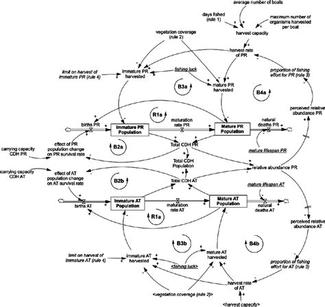 Causal Loop Diagram Showing The Feedback Loops And Key Variables In The