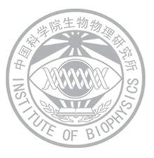 中国科学院生物物理研究所 360百科