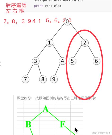 二叉树的创建及遍历 6 1 二叉树创建及遍历 分数 40 作者 王东 单位 贵州师范学院 实现二叉树创建及遍 csdn博客