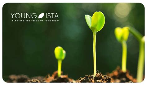 SEEDNews News ISTA lança programa para atrair jovens em início de