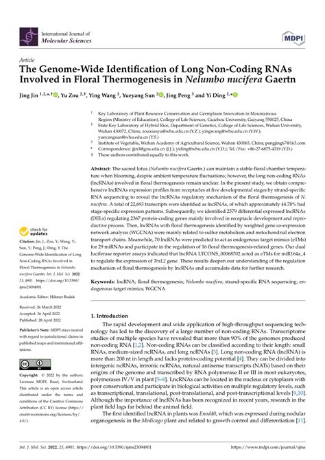 pdf the genome wide identification of long non coding rnas involved in floral thermogenesis in
