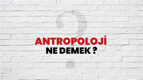 Antropoloji Ne Demek Ne Anlama Gelir Antropoloji Kelimesi TDK Sözlük