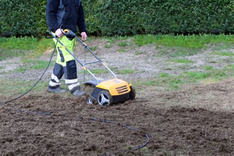 Moos im Rasen entfernen besten Tipps für einen Traumrasen