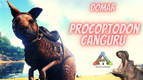 Como Domar O Procoptodon Canguru Ark Survival Evolved YouTube