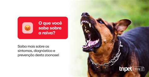 O que você sabe sobre a raiva Blog Tripet