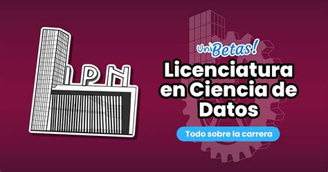 Guía para ser analista de datos qué estudiar CCFProsario ar