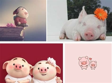 Mách bạn hơn 108 tải hình nền con heo dễ thương tuyệt vời nhất Giày