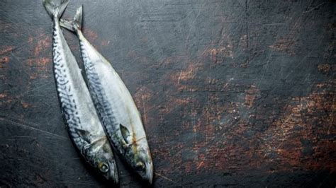 Cómo puedes evitar el mal olor a pescado en tu cocina Casadebricolaje