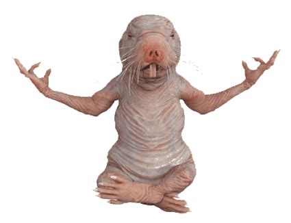 Archivo Rata Topo Desnuda Png Inciclopedia La Enciclopedia Libre De