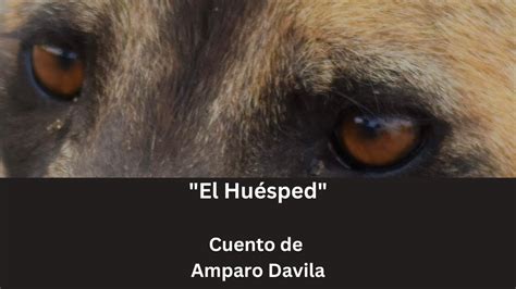 El Huésped Cuento de Amparo Davila YouTube