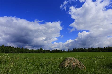 Banco de imagens panorama árvore natureza grama horizonte nuvem