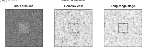 figure 4 from a recurrent model of contour integration in primary visual cortex semantic scholar