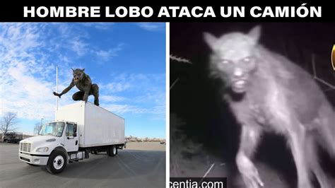 15 Ataques De Hombre Lobo Que Ocurrieron En La Vida Real YouTube