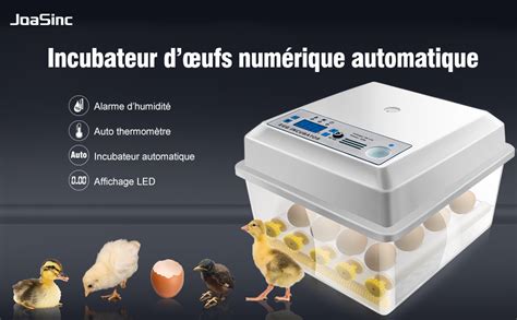 JoaSinc Incubateur à oeufs Couveuses Automatique 16 œufs Numérique