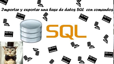 como importar y exportar una base de datos mysql con comandos xampp youtube
