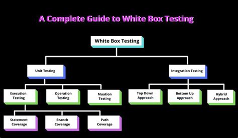 a complete guide to white box testing