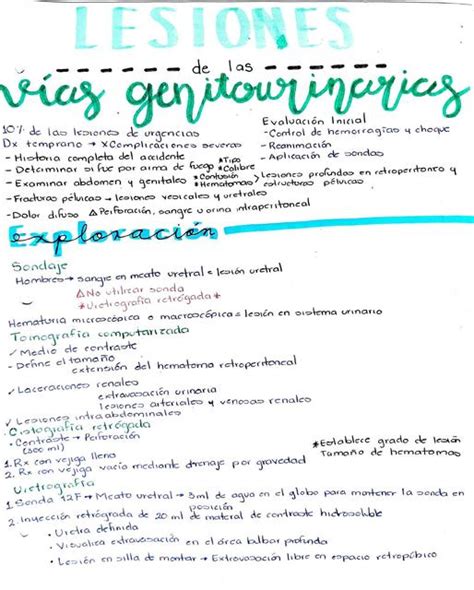 LESIONES DE LAS VIAS GENITOURINARIAS NOTES MEDICAS UDocz