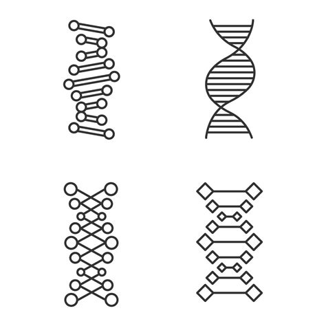 Dna Chains Linear Icons Set Deoxyribonucleic Nucleic Acid Helix