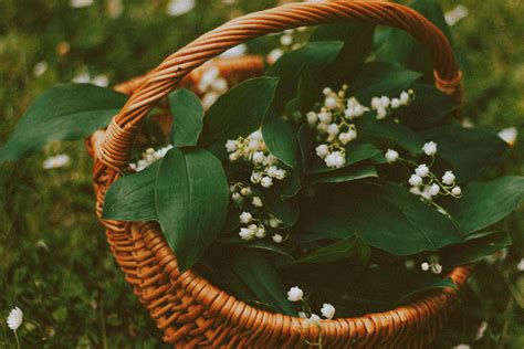 13 ans de mariage Célébrer les Noces de Muguet Magazine de Mariage