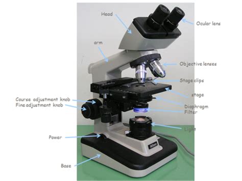 Micro Lab Practical Flashcards Quizlet