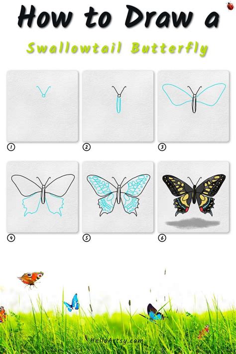 Steps Demonstrating How To Draw A Swallowtail Butterfly Drawing For