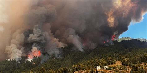 El fuego avanza sin control en La Palma arrasa 2 000 hectáreas y