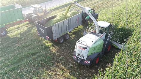 Maish Ckseln Teil Lu Krumm Mit Claas Jaguar Und Fendt