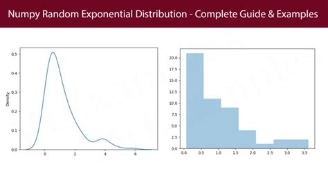 Numpy Random Exponential Mr Examples