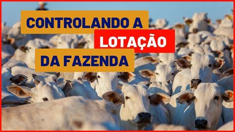 Qual é a importância do CONTROLE DE LOTAÇÃO DA FAZENDA YouTube