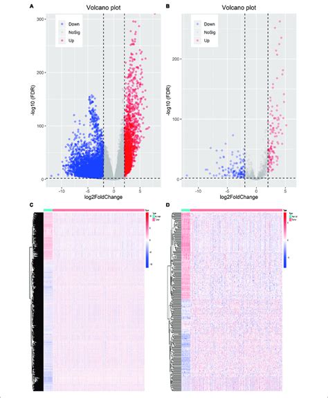 Identification Of The Differentially Expressed Immune Related Genes