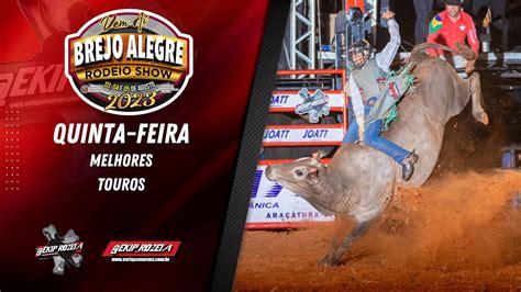 BREJO ALEGRE SP 2023 QUINTA FEIRA MELHORES TOUROS YouTube