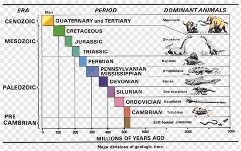 Esquema Del Tiempo Geologico Dinami
