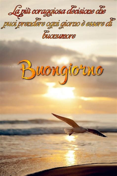 Pin De Grazia Noto En Buongiorno Buonanotte Arte Foto