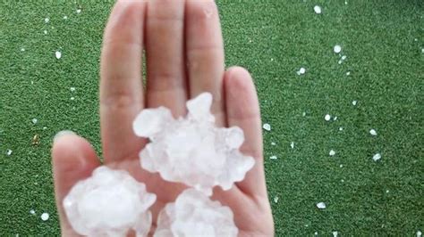 Maltempo In Veneto Grandine Tra Cavarzere E Il Veronese Alberi In