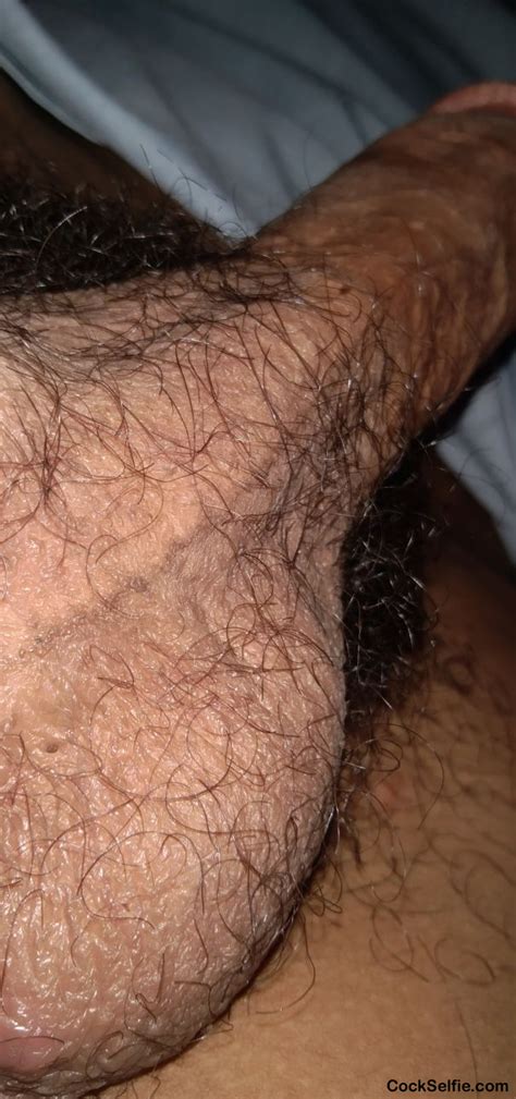Big Hairy Dick Posted To Cock Selfie